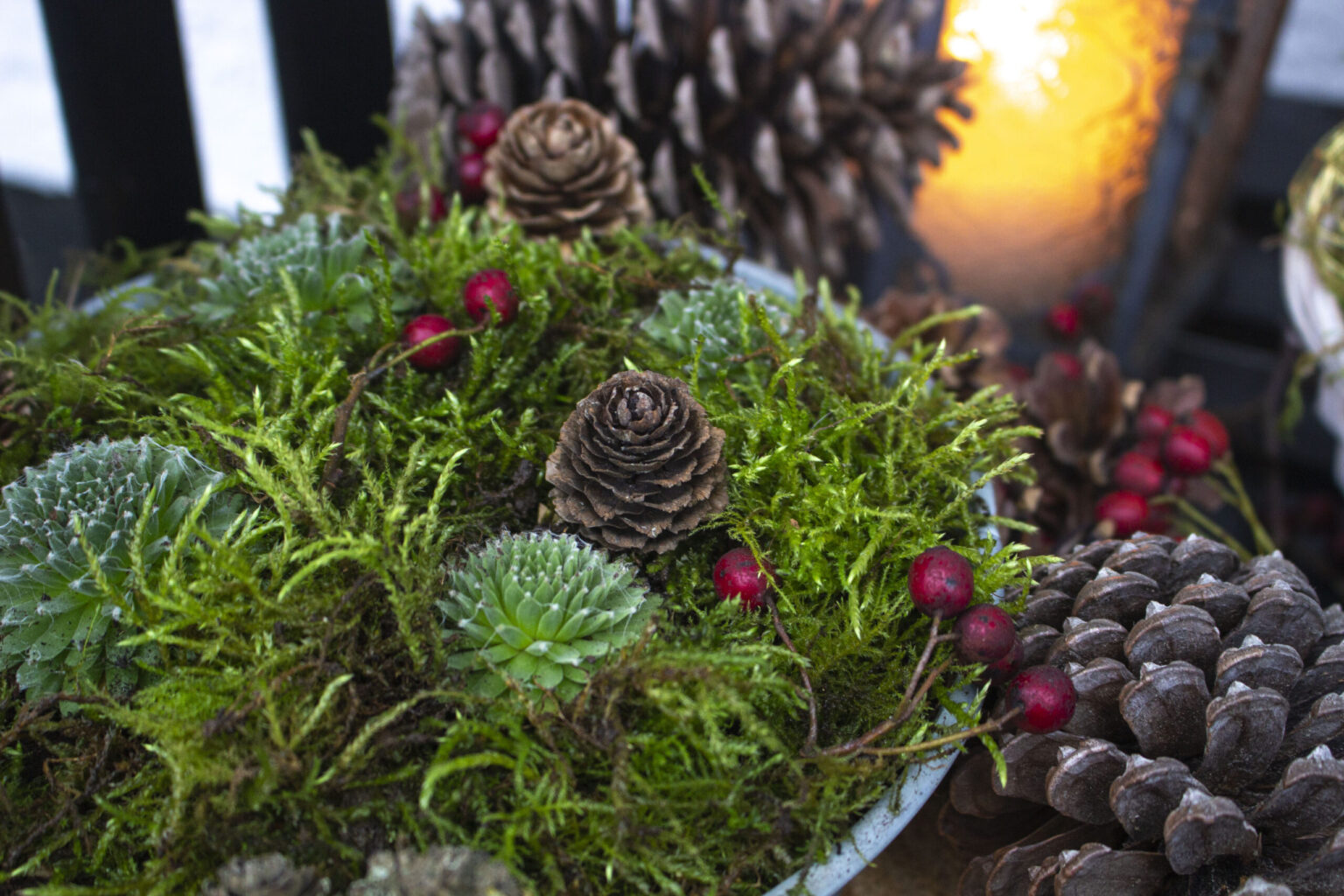 Inspiration til udendørs julepynt [ Nemt & billigt ] Få julestemning i ...