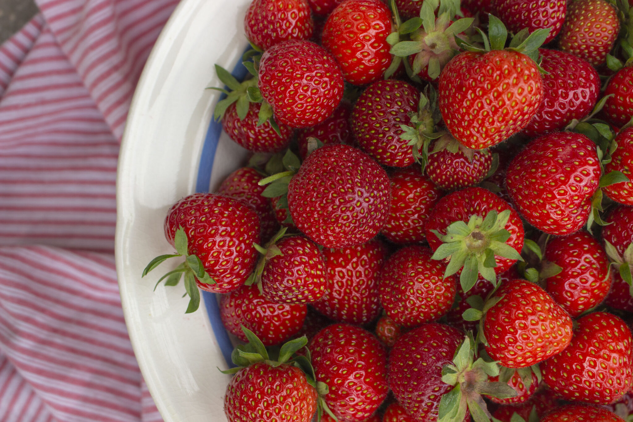 Sommerrøde jordbær [ Lav et jordbærbed i haven ] Råd & vejledning